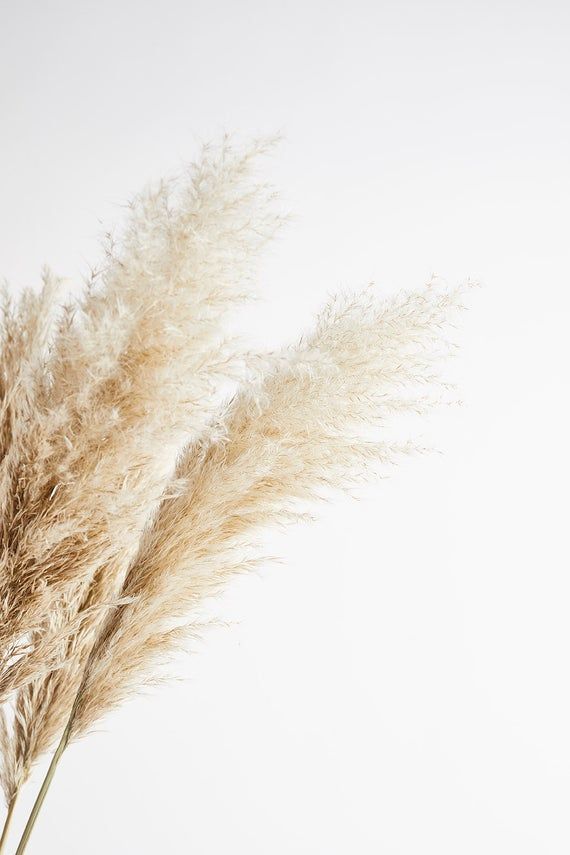 Permanent Botanicals – BelleRose Floral Boutique